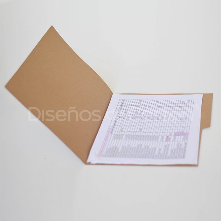 FOLDER | Diseños de Cartón