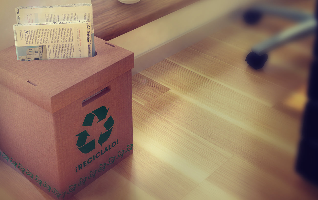 Inicio | Diseños de Cartón